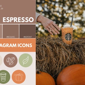 Brand Colour Palette Template Pumpkin Spice Editable Canva Template Hex ...