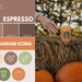 Brand Colour Palette Template Pumpkin Spice Editable Canva Template Hex ...