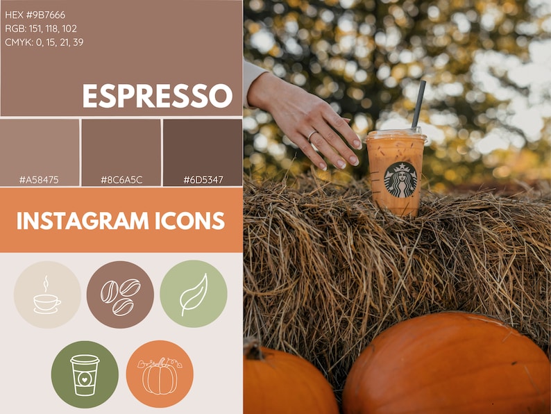 Brand Colour Palette Template Pumpkin Spice Editable Canva Template Hex ...