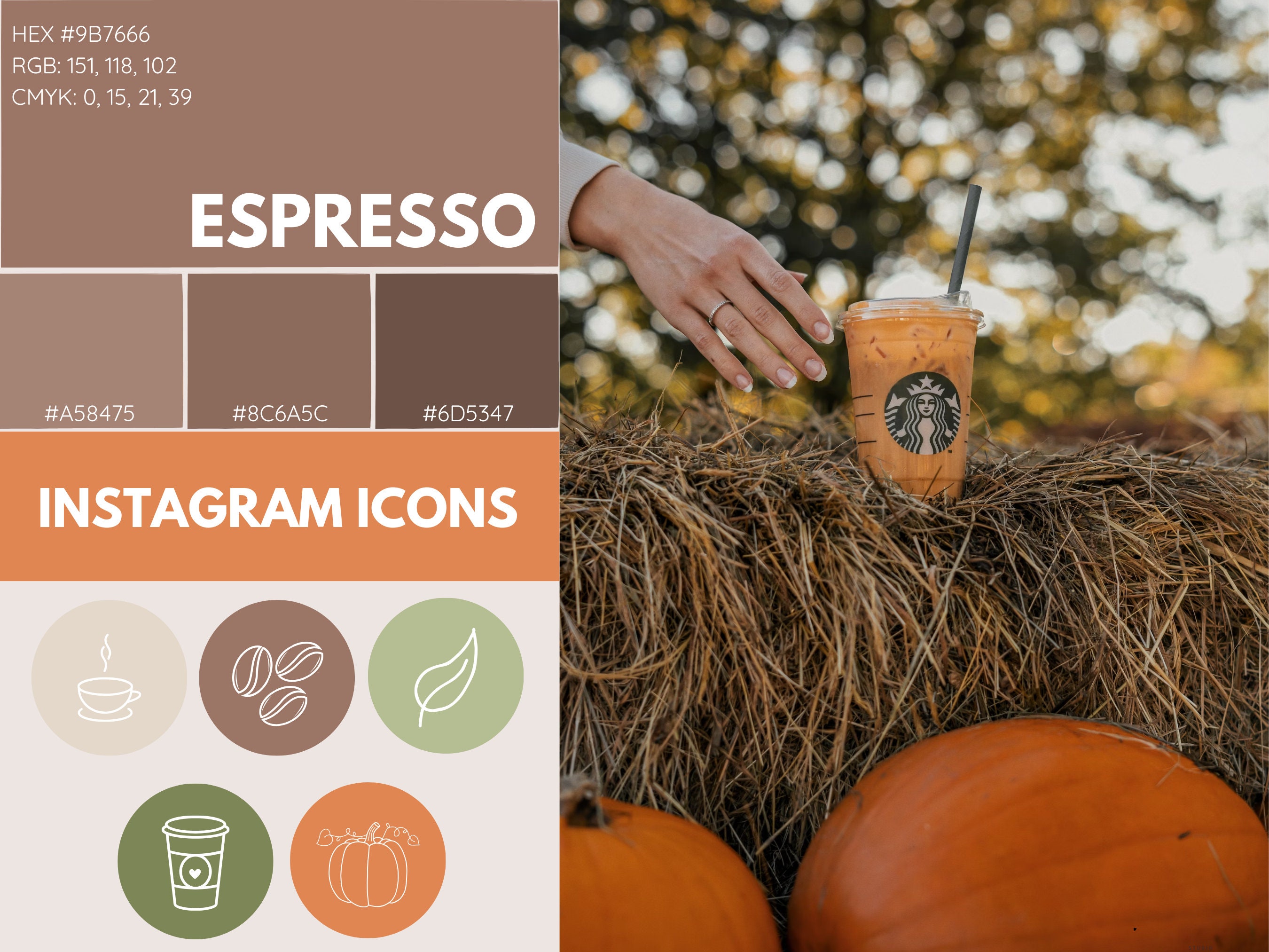 Brand Colour Palette Template Pumpkin Spice Editable Canva Template Hex Codes CMYK Codes RGB ...
