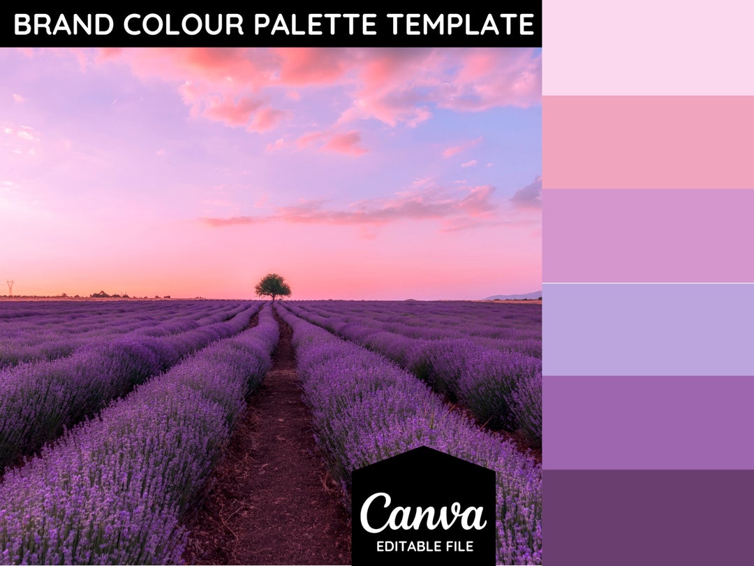 Brand Colour Palette Template Lavender Field Editable Canva Template ...