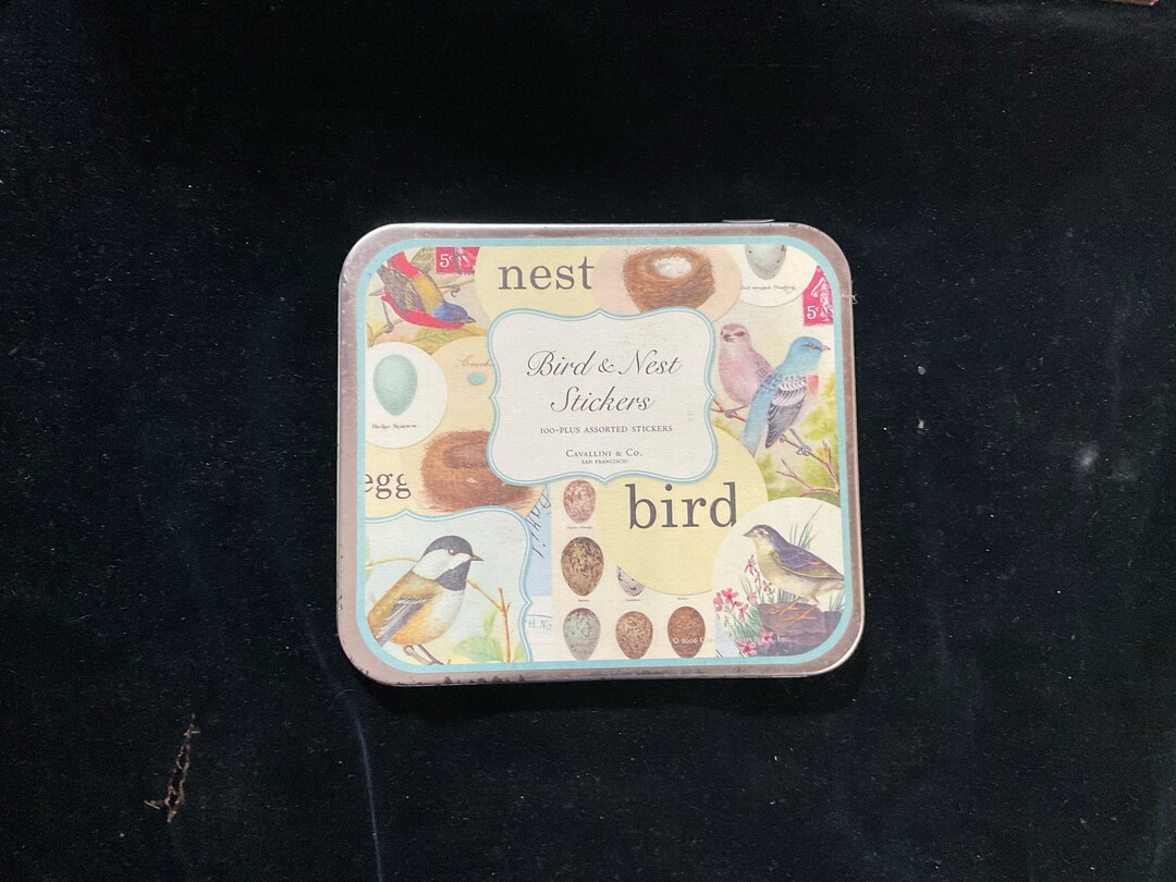 Bird Nest Stickers by Cavallini & Co. 100 Plus Assorted Stickers ...