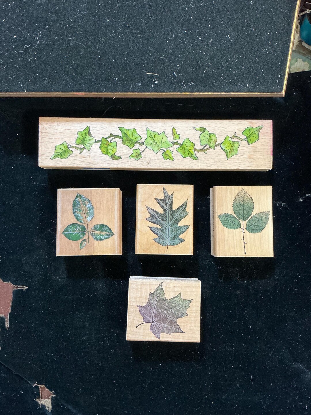 5 Different Leaf Stamps Including 3 From Hero Arts, 1 Rubber Stampede ...