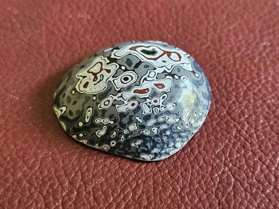 Polished 𝗧𝗨𝗥𝗧𝗟𝗘 𝗦𝗛𝗘𝗟𝗟 Jeepite Jeep Fordite turtle Display Piece ...