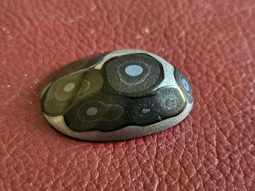 Polished "𝗧𝗨𝗥𝗧𝗟𝗘 𝗦𝗛𝗘𝗟𝗟" Jeepite Jeep Fordite "turtle Display Piece ...