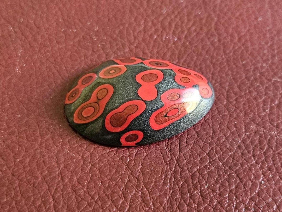 Polished 𝗧𝗨𝗥𝗧𝗟𝗘 𝗦𝗛𝗘𝗟𝗟 Jeepite Jeep Fordite turtle Display Piece ...
