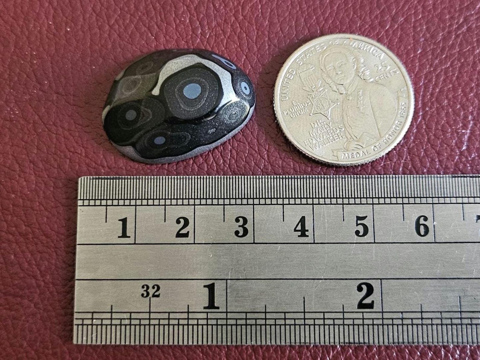 Polished 𝗧𝗨𝗥𝗧𝗟𝗘 𝗦𝗛𝗘𝗟𝗟 Jeepite Jeep Fordite turtle Display Piece ...