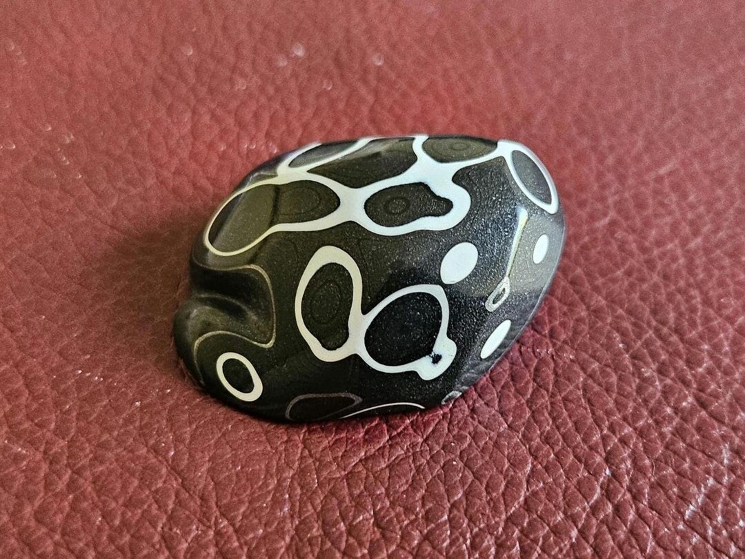 Polished 𝗧𝗨𝗥𝗧𝗟𝗘 𝗦𝗛𝗘𝗟𝗟 Jeepite Jeep Fordite turtle Display Piece ...