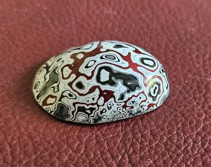 Polished "𝗧𝗨𝗥𝗧𝗟𝗘 𝗦𝗛𝗘𝗟𝗟" Jeepite Jeep Fordite "turtle Display Piece ...
