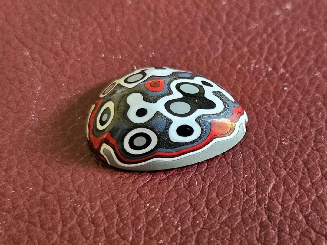Polished 𝗧𝗨𝗥𝗧𝗟𝗘 𝗦𝗛𝗘𝗟𝗟 Jeepite Jeep Fordite turtle Display Piece ...