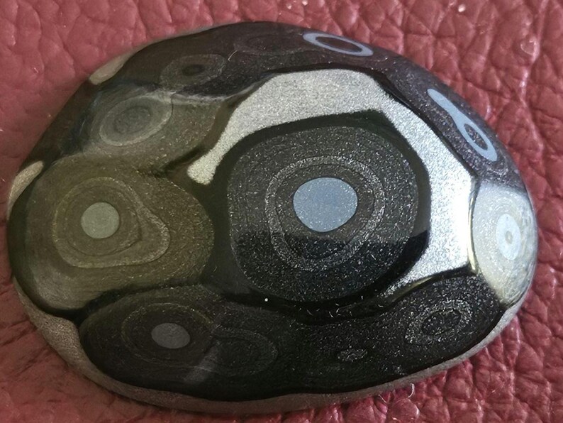 Polished 𝗧𝗨𝗥𝗧𝗟𝗘 𝗦𝗛𝗘𝗟𝗟 Jeepite Jeep Fordite turtle Display Piece ...