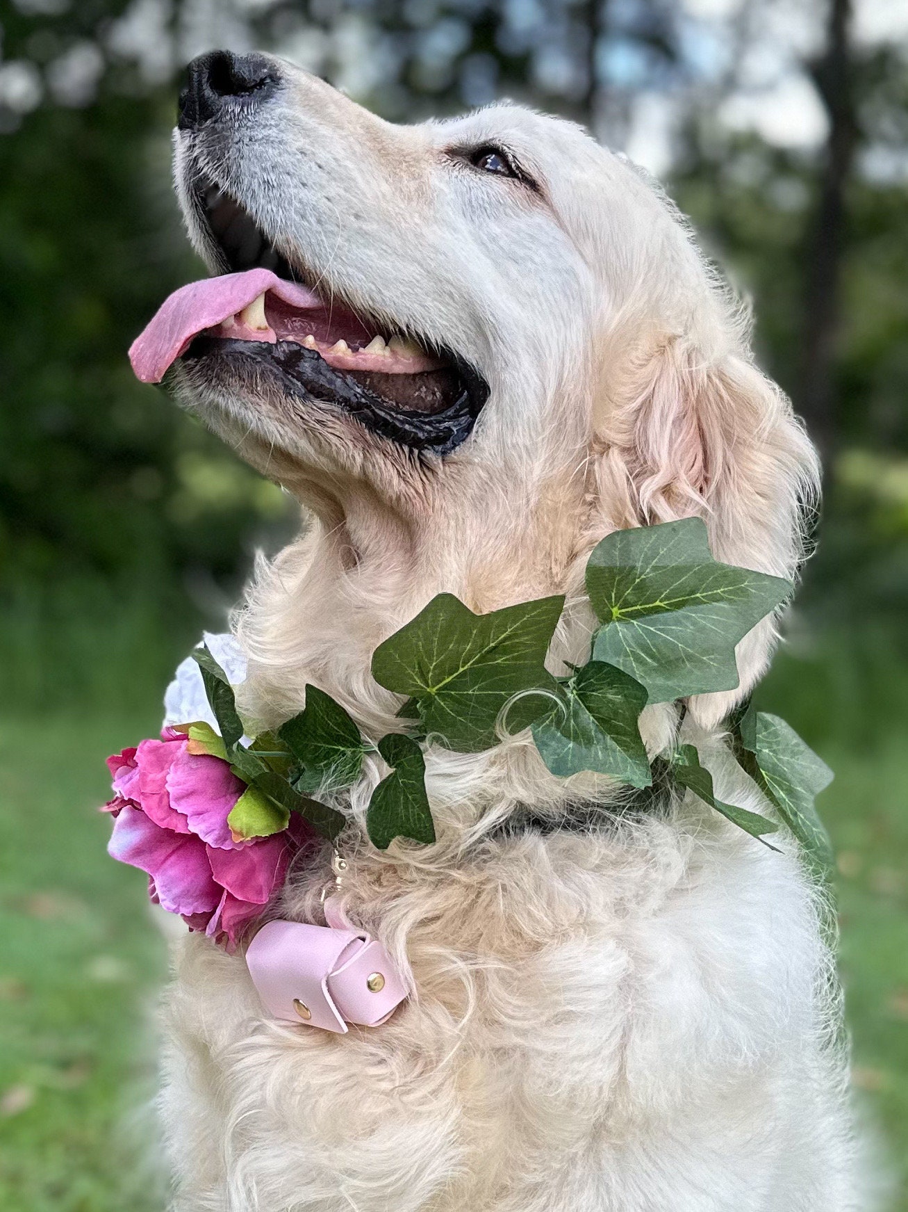 Dog Wedding Ring Box Holder Pouch Dogs Ring Bearer Dog Horse Ring ...