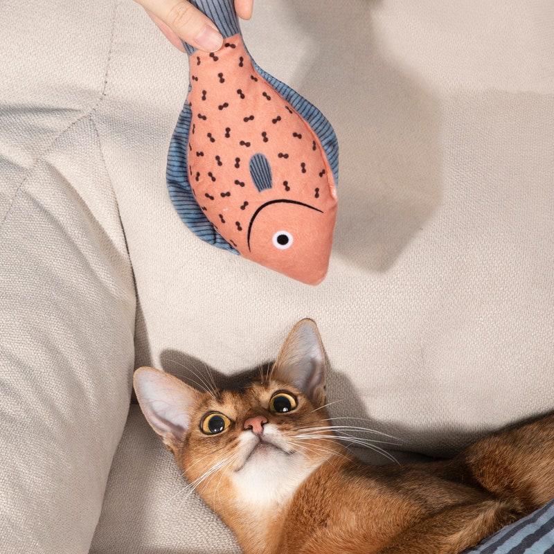 Cat Fish Shaped Toy - Etsy