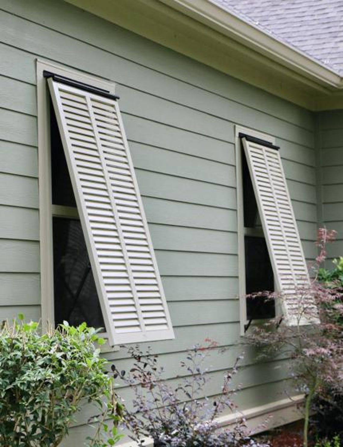Raw Cedar Bahama Shutter: Custom Made-to-order - Etsy