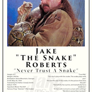 Jake "the Snake" Roberts "icons" Series Framed Poster - Etsy