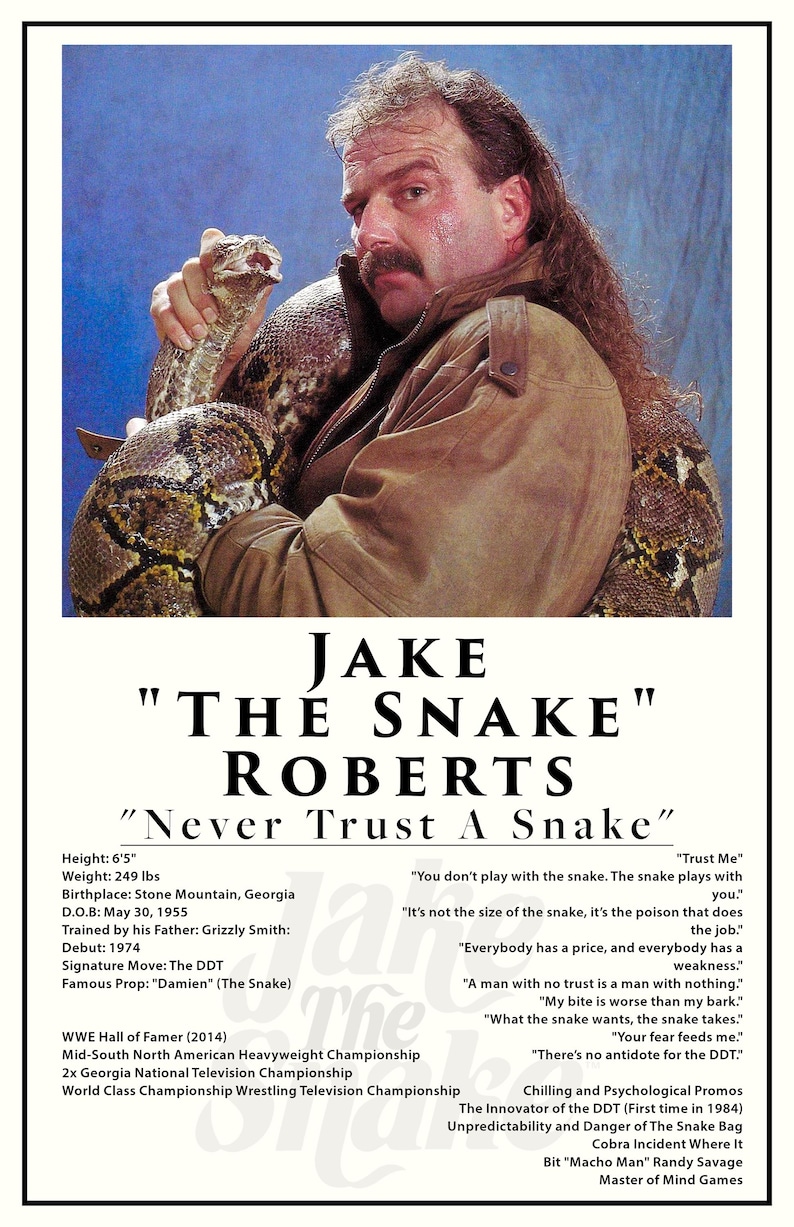 Jake "the Snake" Roberts "icons" Series Framed Poster - Etsy