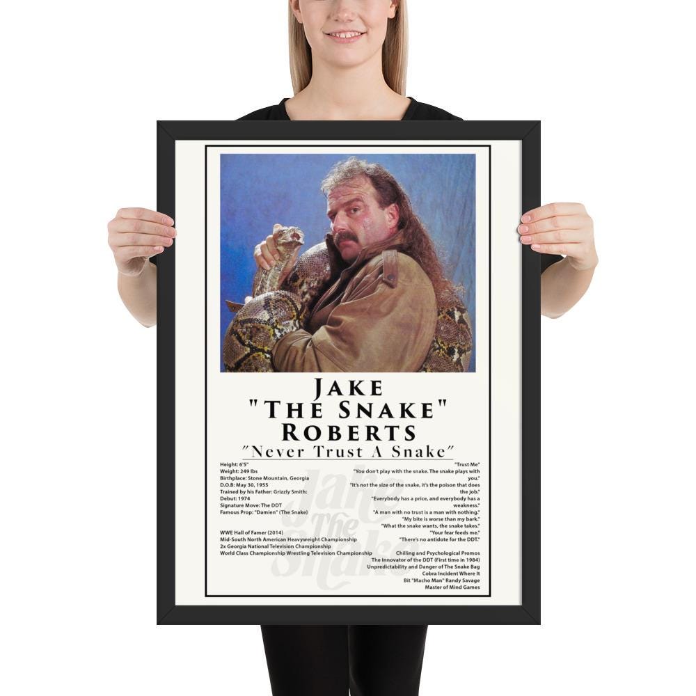 Jake "the Snake" Roberts "icons" Series Framed Poster - Etsy