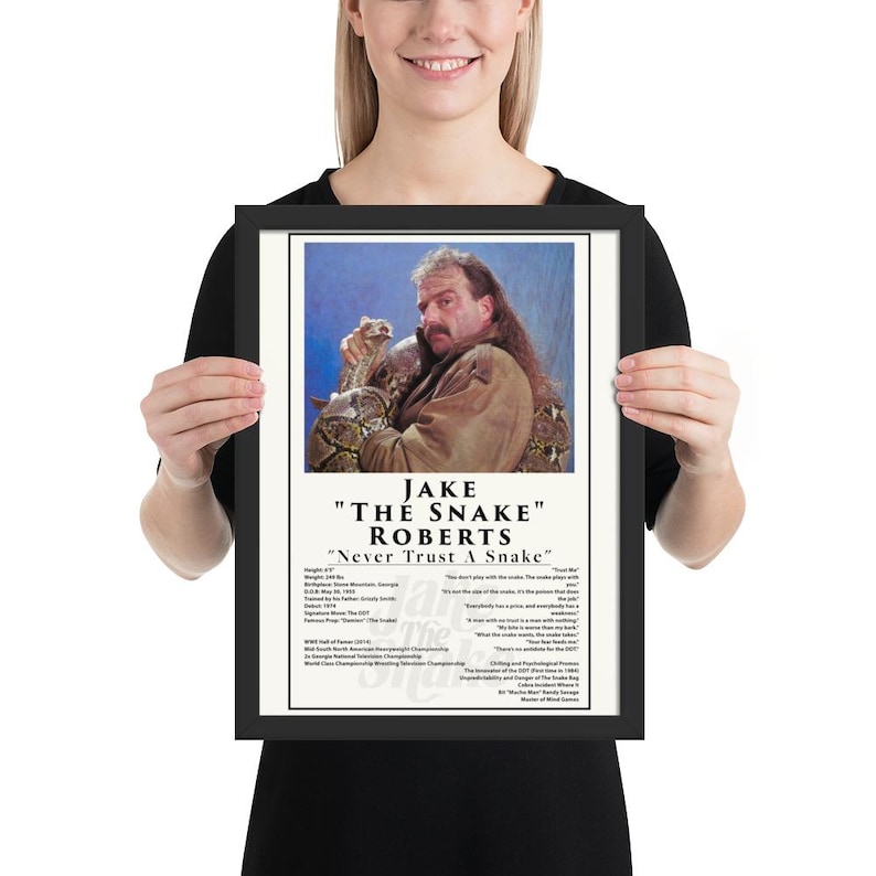 Jake "the Snake" Roberts "icons" Series Framed Poster - Etsy