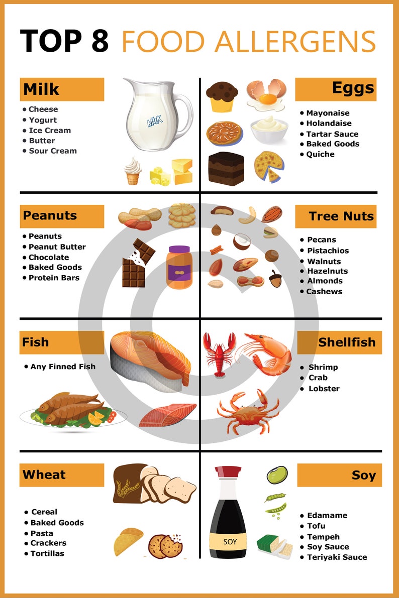 TOP 8 Food Allergens - Managing Food Allergies, Alternative Foods ...