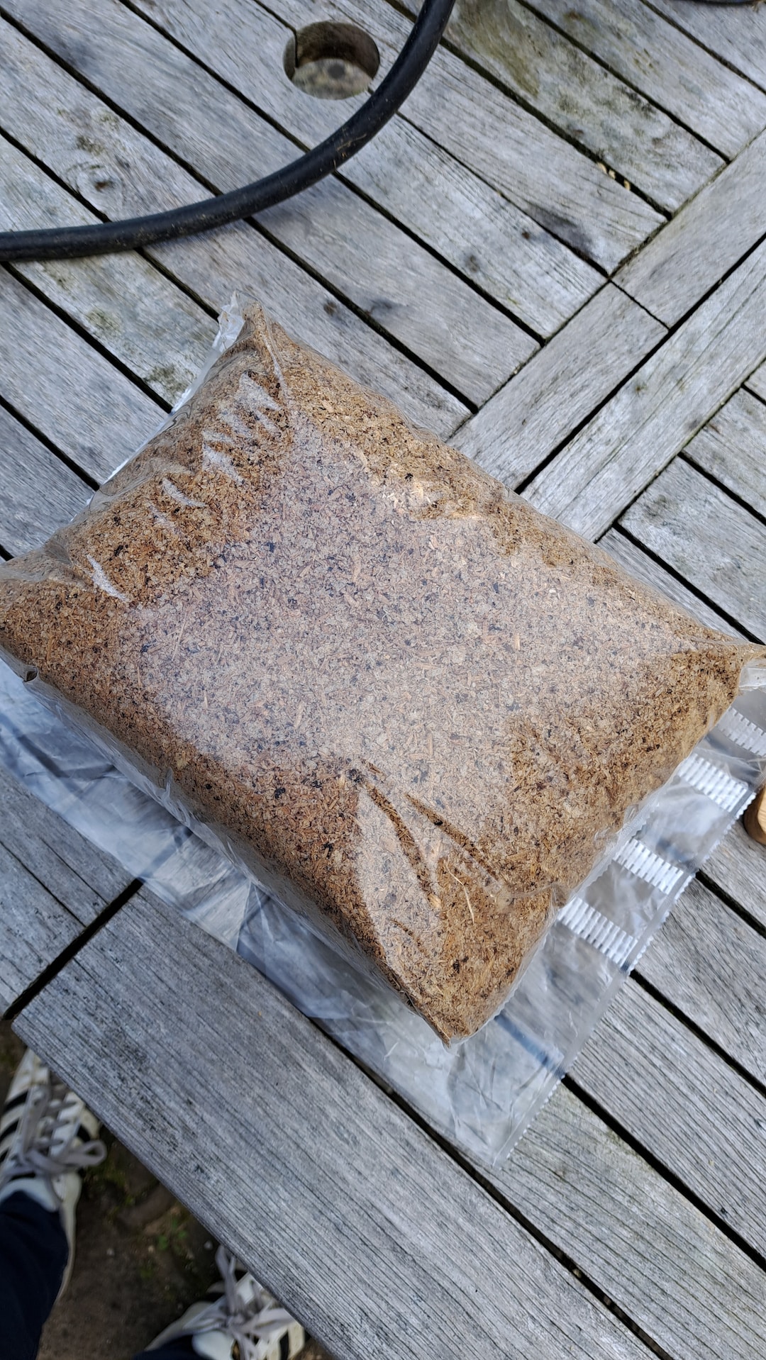 Inoculated Mushroom Grow Kit Masters Mix With Rye Grain Spawn - Etsy Canada