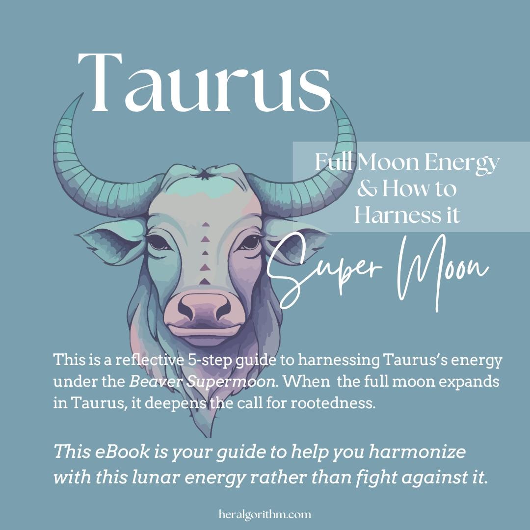 Harnessing Taurus Energy Under the Beaver Moon| A 5 Step Guide (digital ...