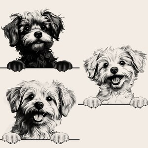 Peeking Dogs Pomapoo - | SVG | PNG | JPG | Transparent + White ...