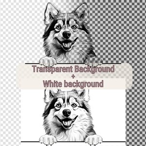 Pomsky Dog Line Art: SVG, PNG, JPG (digital Download) - Etsy