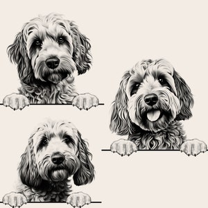 Peeking Dogs Cockapoo - | SVG | PNG | JPG | Transparent + White ...