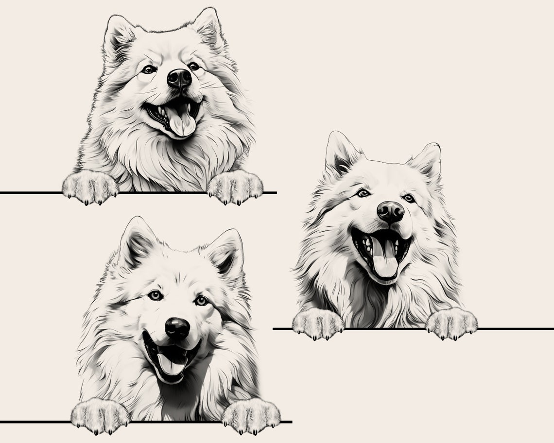 Peeking Dogs Samoyed - | SVG | PNG | JPG | Transparent + White ...