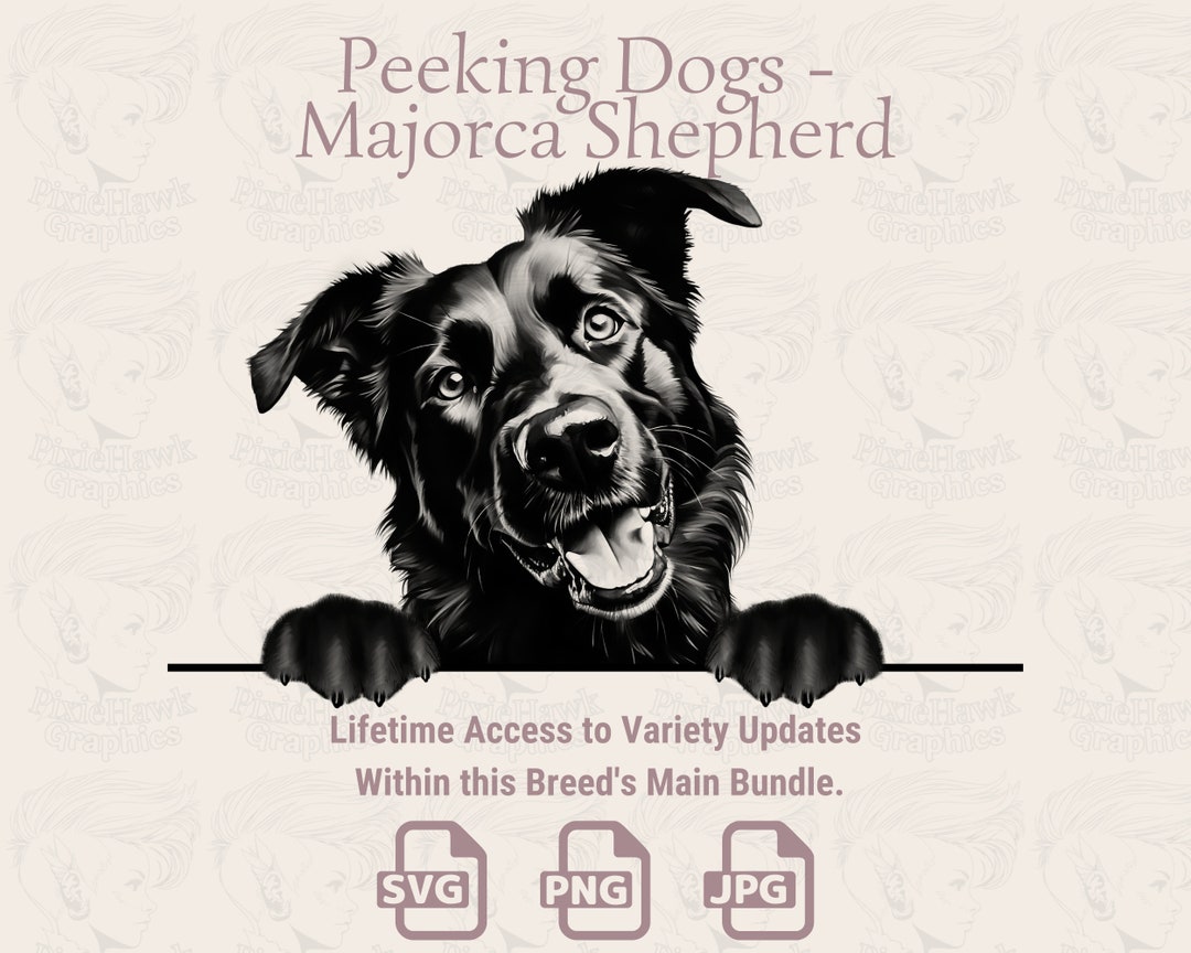 Majorca Shepherd Peeking Dog Line Art (SVG, PNG, JPG) - Etsy