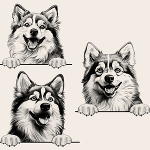 Pomsky Dog Line Art: SVG, PNG, JPG (digital Download) - Etsy