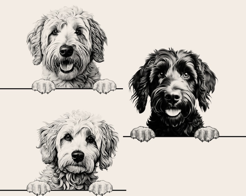 Goldendoodle Line Art: Peeking Dog SVG, PNG, JPG (digital Download) - Etsy