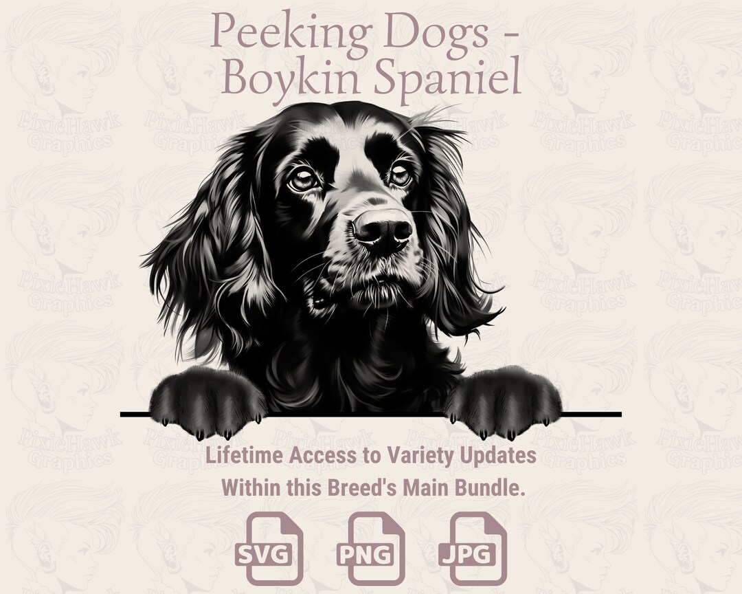 Peeking Dogs Boykin Spaniel - | SVG | PNG | JPG | Transparent + White ...