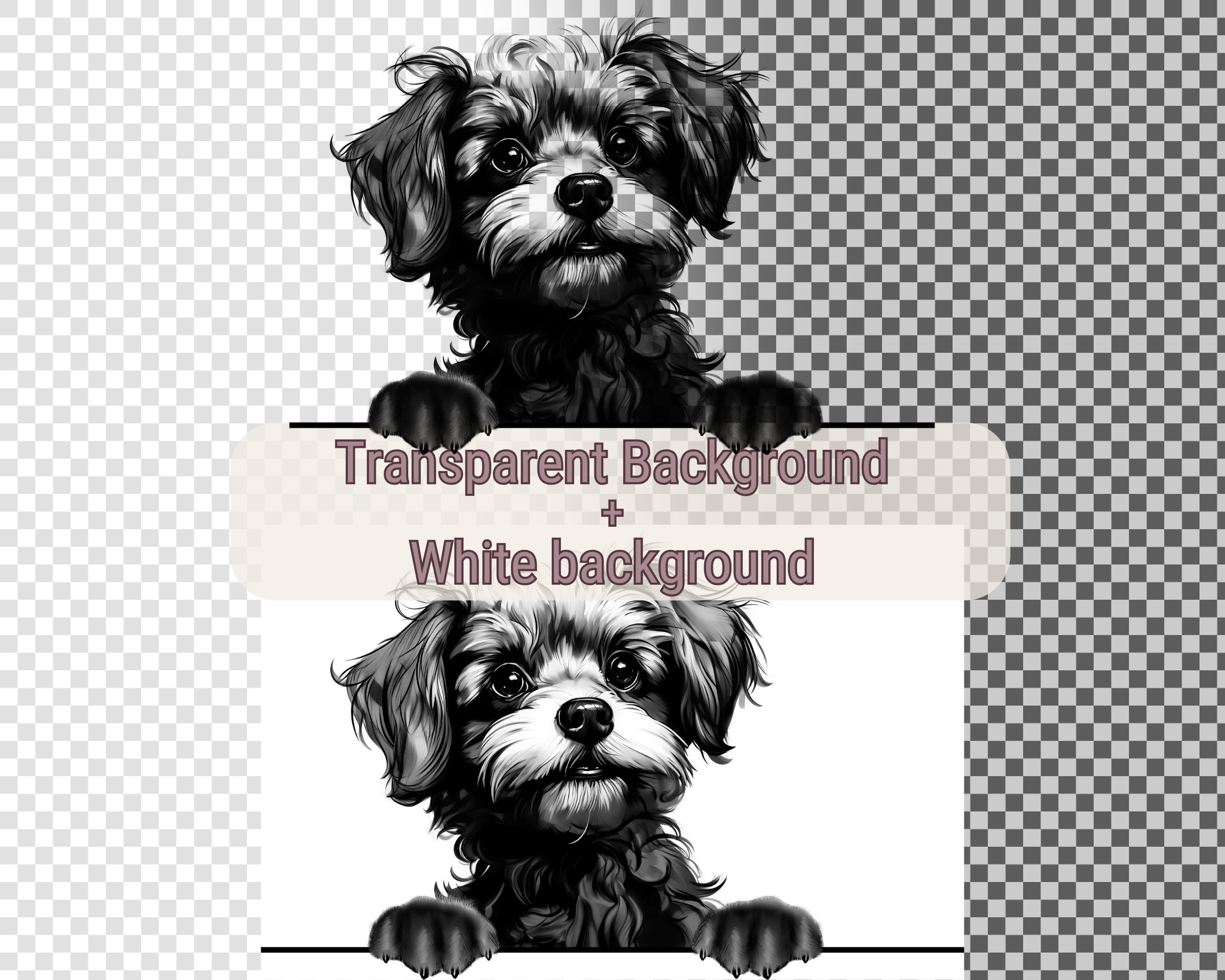 Peeking Dogs Pomapoo SVG PNG JPG Transparent White - Etsy