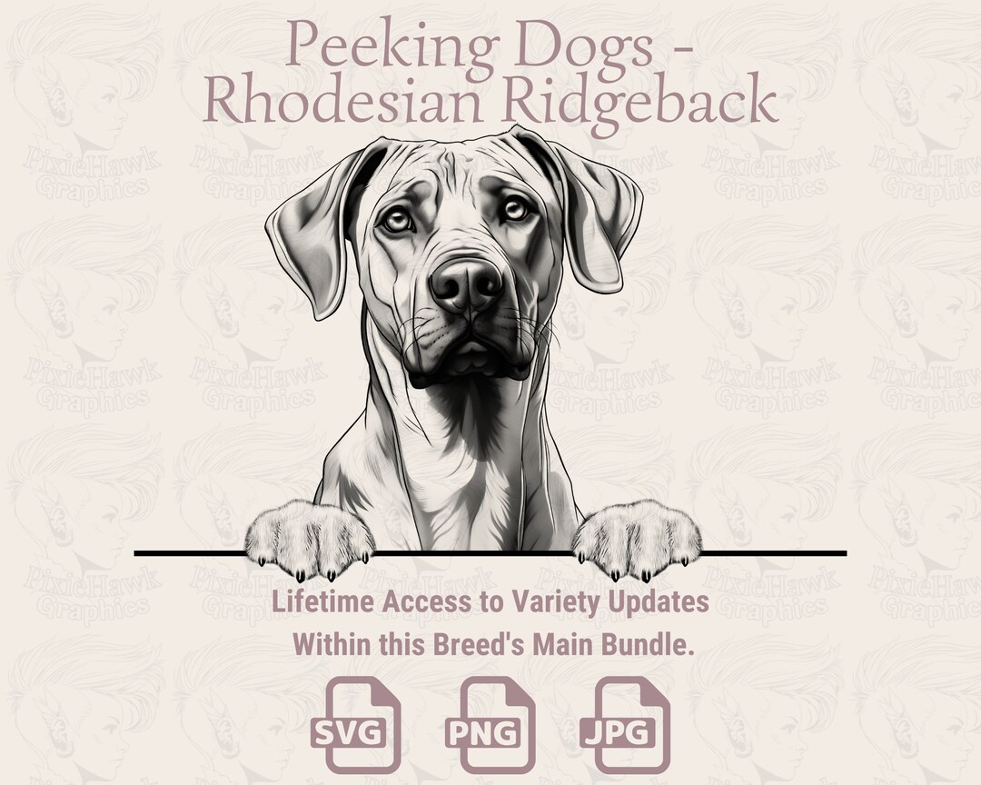 Peeking Dogs Rhodesian Ridgeback - | SVG | PNG | JPG | Transparent ...