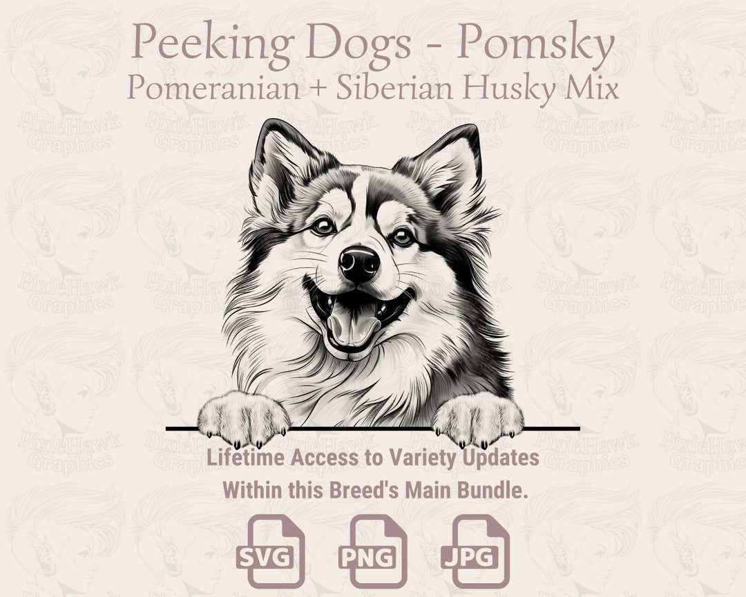 Pomsky Dog Line Art: SVG, PNG, JPG (digital Download) - Etsy