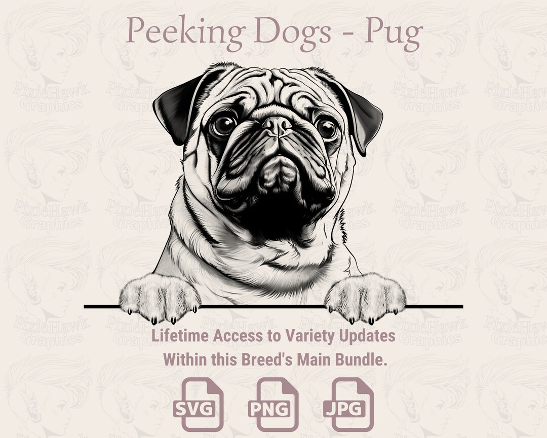 Peeking Dogs Pug - | SVG | PNG | JPG | Transparent + White Background ...