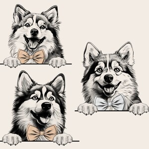 Peeking Dogs Pomsky SVG PNG JPG Transparent White Background Planner ...