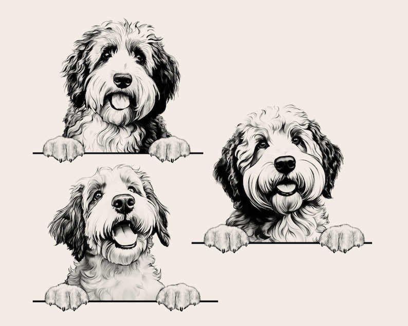 Sheepadoodle Peeking Dog Line Art (SVG, PNG, JPG) - Etsy