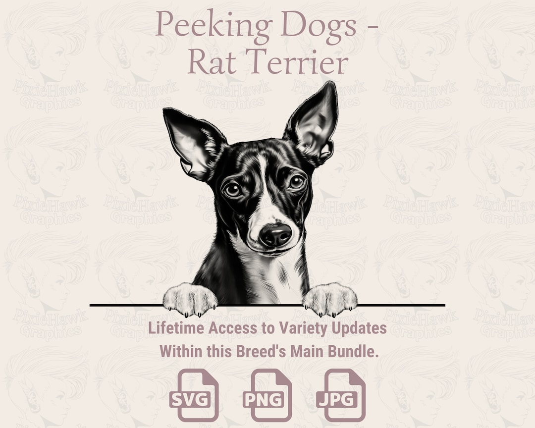 Peeking Dogs Rat Terrier - | SVG | PNG | JPG | Transparent + White ...