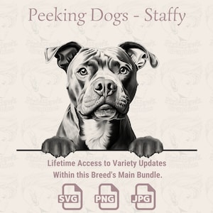 Peeking Dogs Staffy - | SVG | PNG | JPG | Transparent + White ...