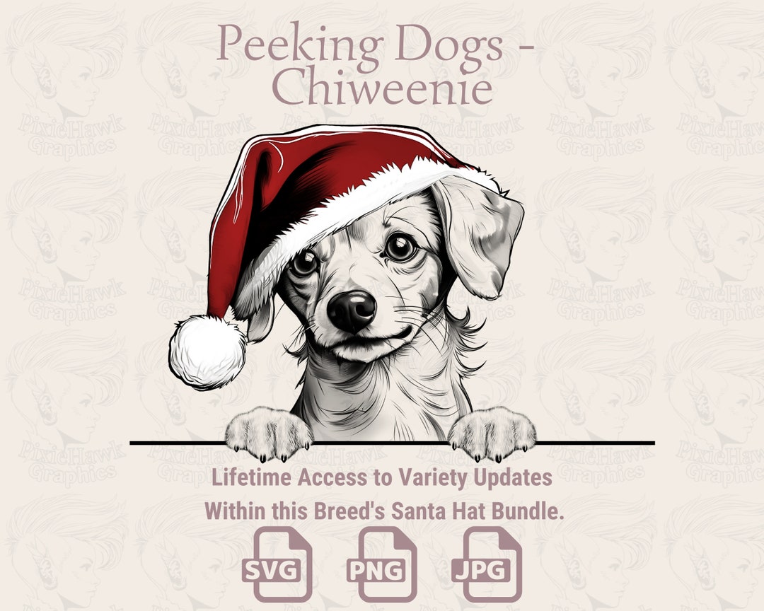 Peeking Dogs Chiweenie Santa Hat - | SVG | PNG | JPG | Many Variations ...