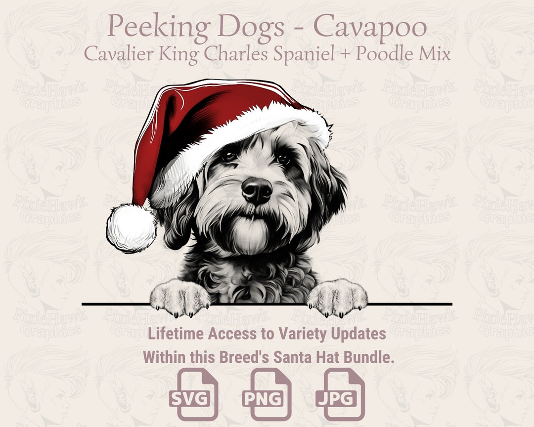 Peeking Dogs Cavapoo Santa Hat - | SVG | PNG | JPG | Many Variations ...