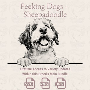Sheepadoodle Peeking Dog Line Art (SVG, PNG, JPG) - Etsy