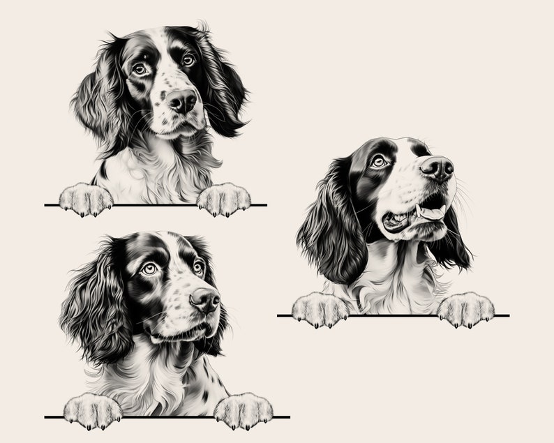 Springer Spaniel Line Art: Peeking Dog SVG, PNG, JPG (digital Download ...