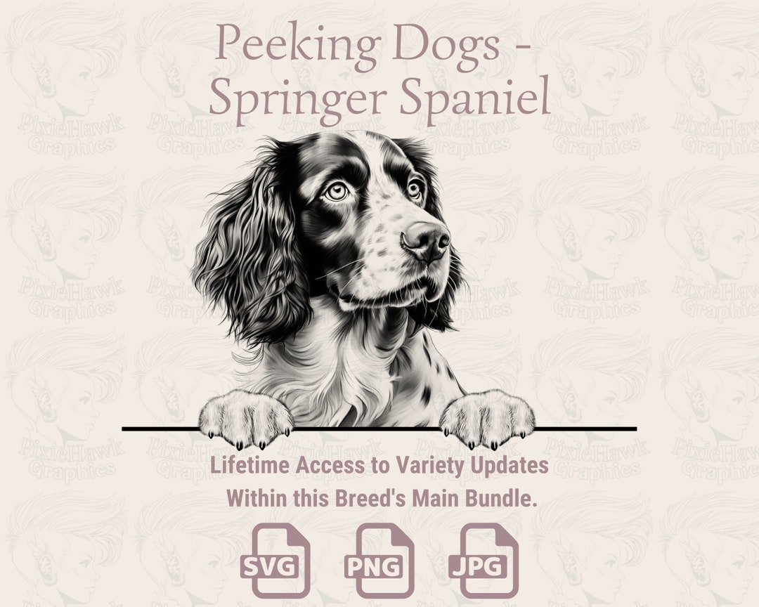 Springer Spaniel Line Art: Peeking Dog SVG, PNG, JPG (digital Download ...