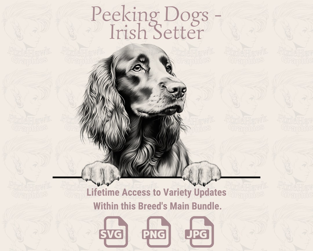 Irish Setter Line Art: Peeking Dog SVG, PNG, JPG - Etsy