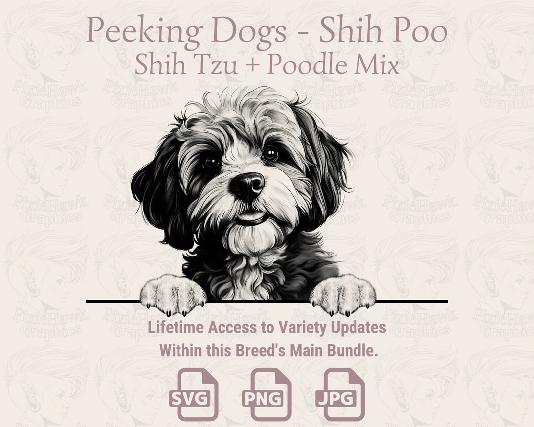 Peeking Dogs Shih Poo - | SVG | PNG | JPG | Transparent + White ...