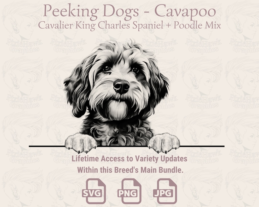 Cavapoo Dog Line Art: Peeking Puppy SVG PNG JPG (digital Download) - Etsy