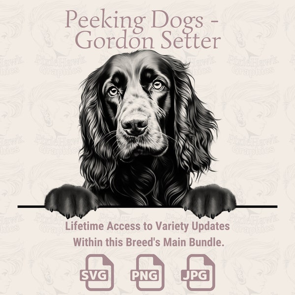 Gordon Setter - Etsy